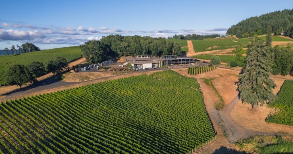 Welcome to the Willamette Valley: Oregon Wine Country
