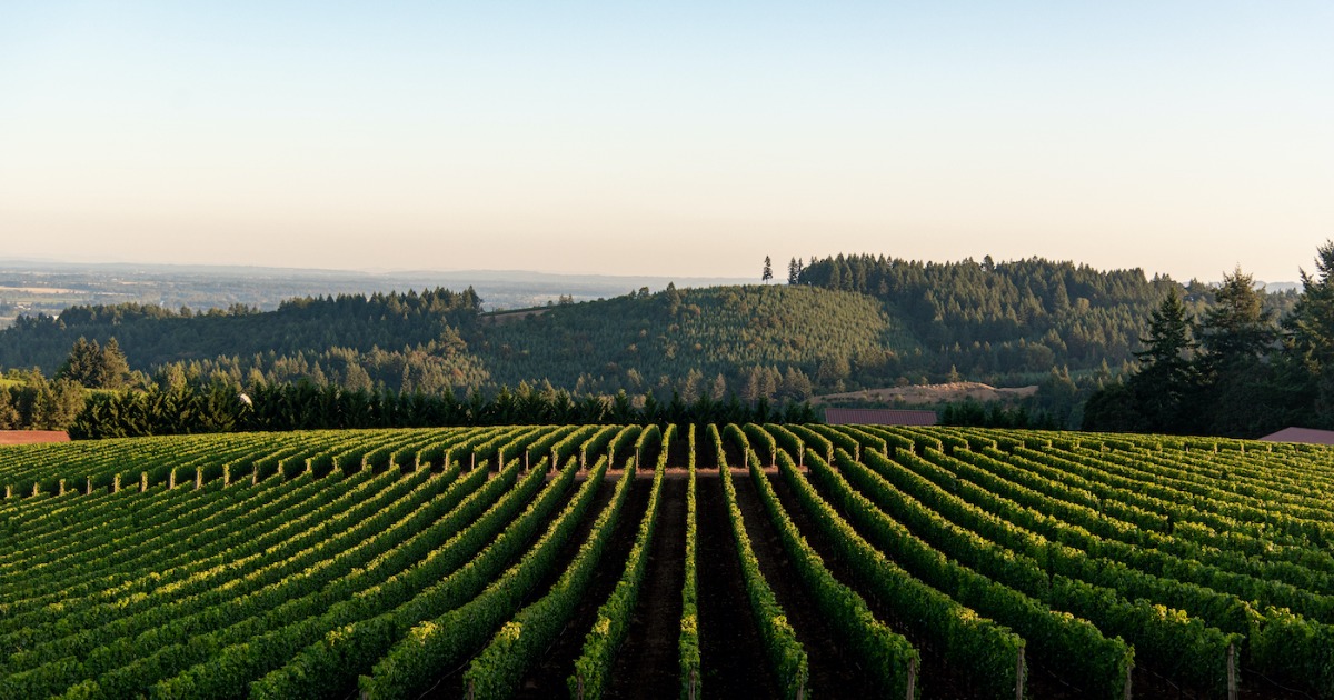Welcome to the Willamette Valley: Oregon Wine Country